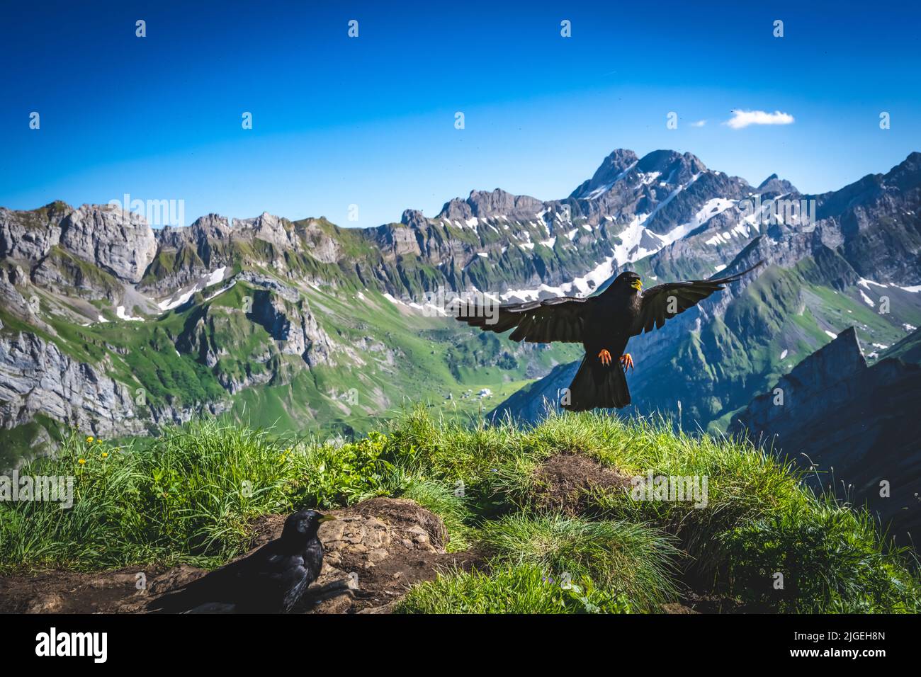 Alpenalpturm hi-res stock photography and images - Alamy