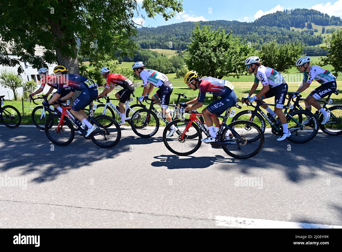 Chatel, France, 10th July 2022. The peloton makes progress during Stage ...