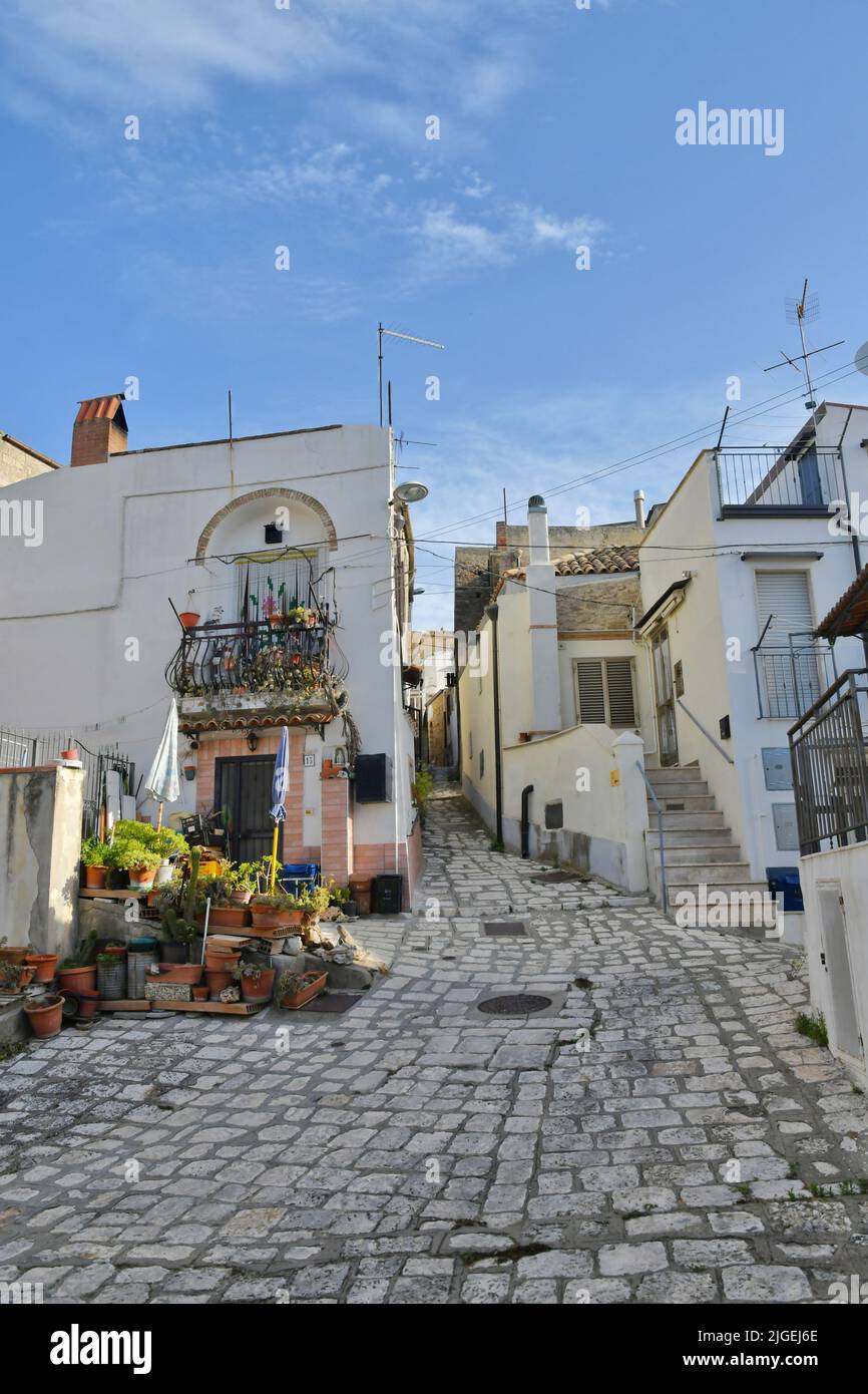 A narrow street between the old houses of Grottole, a village in the ...