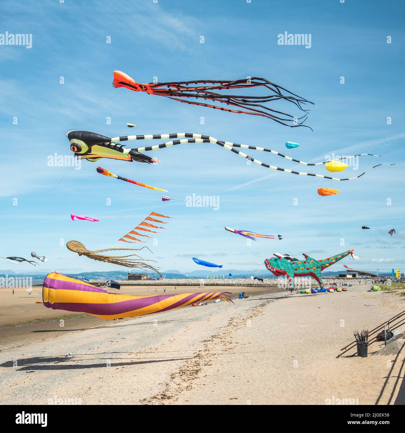 Professional kite flyers hi-res stock photography and images - Alamy