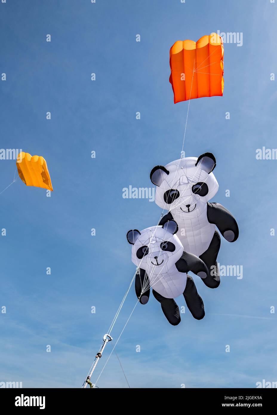 Professional kite flyers hi-res stock photography and images - Alamy