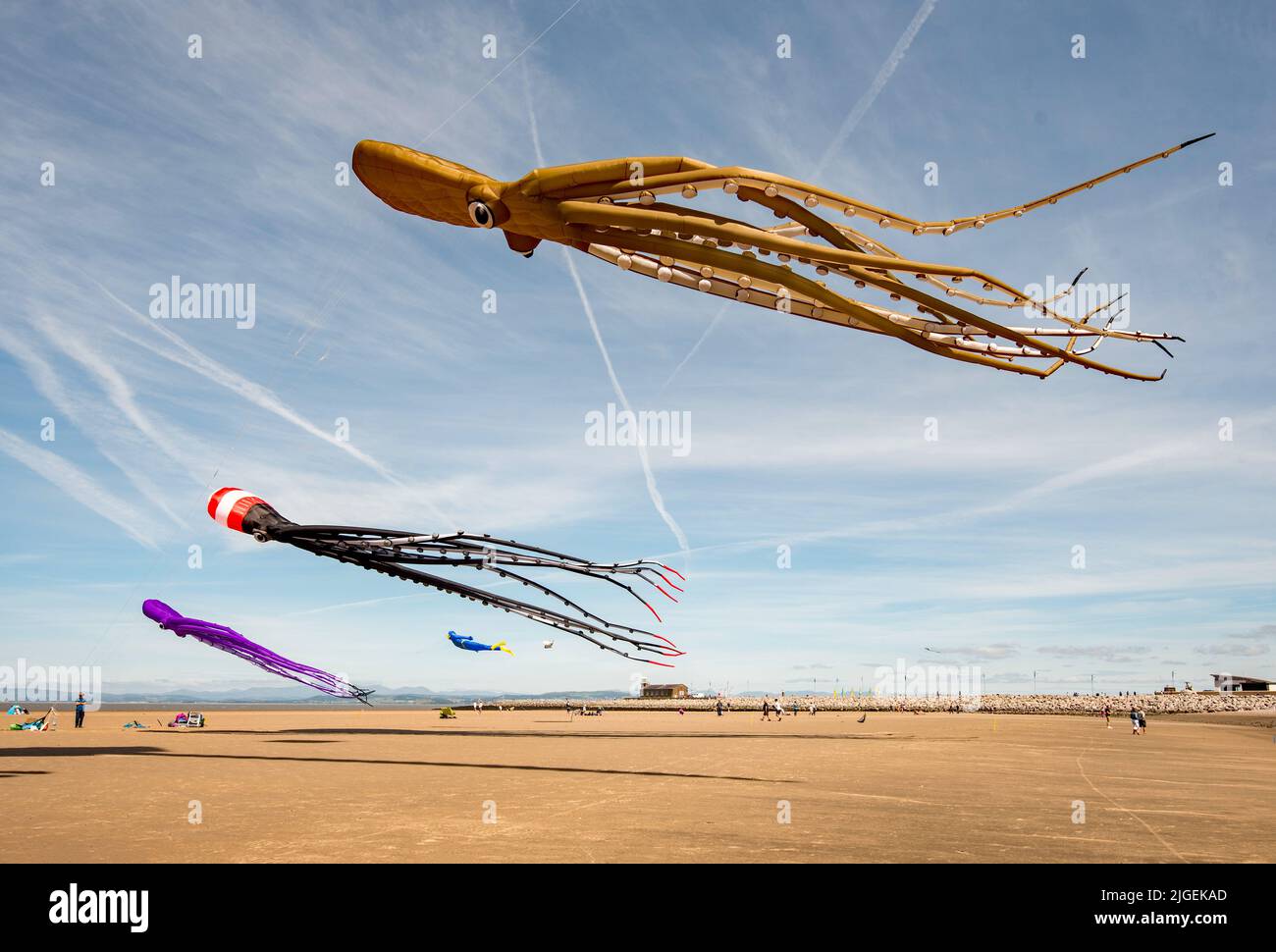 Professional kite flyers hi-res stock photography and images - Alamy