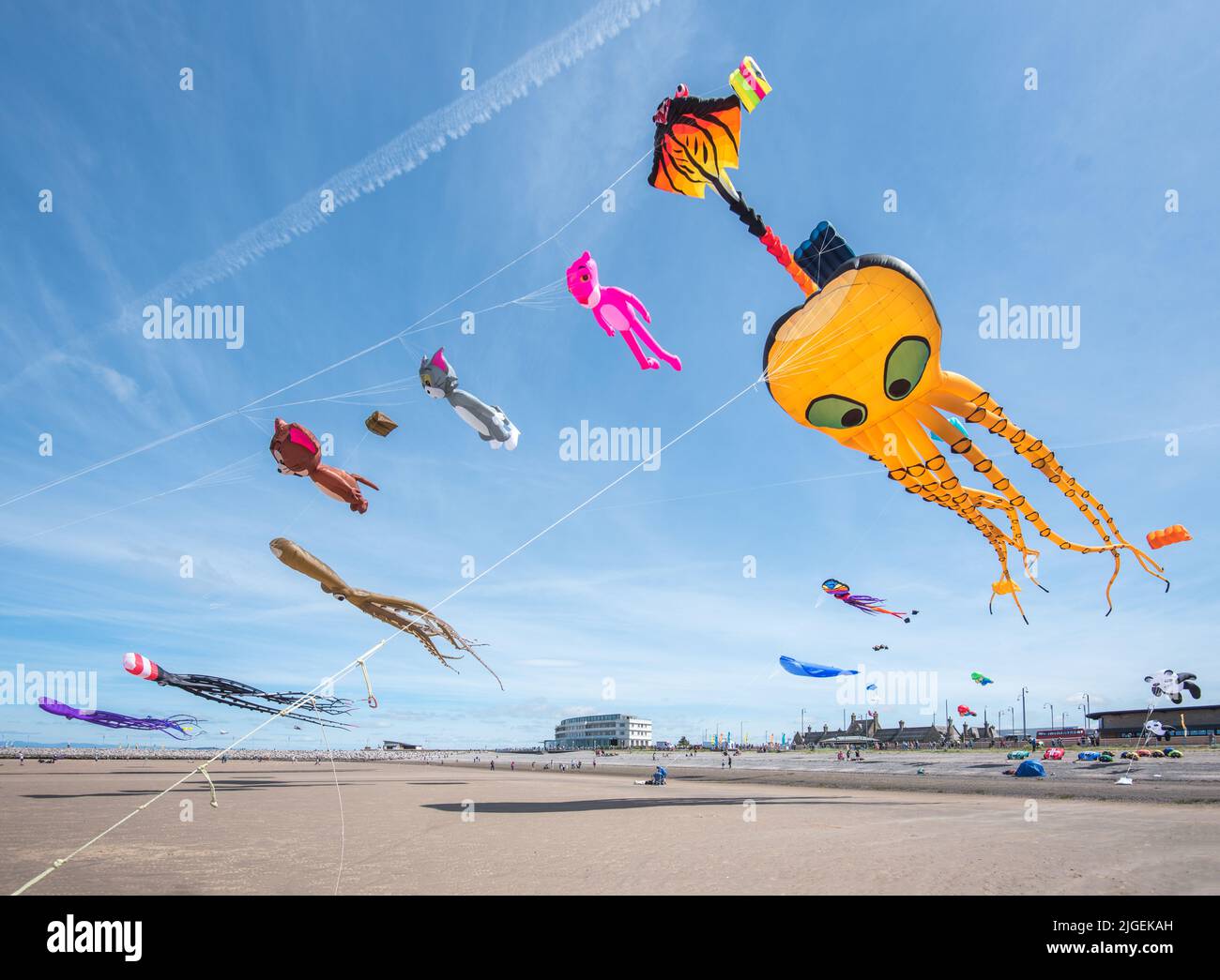 Professional kite flyers hi-res stock photography and images - Alamy