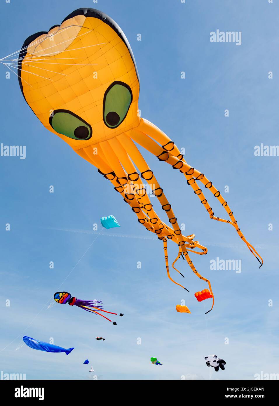 Professional kite flyers hi-res stock photography and images - Alamy