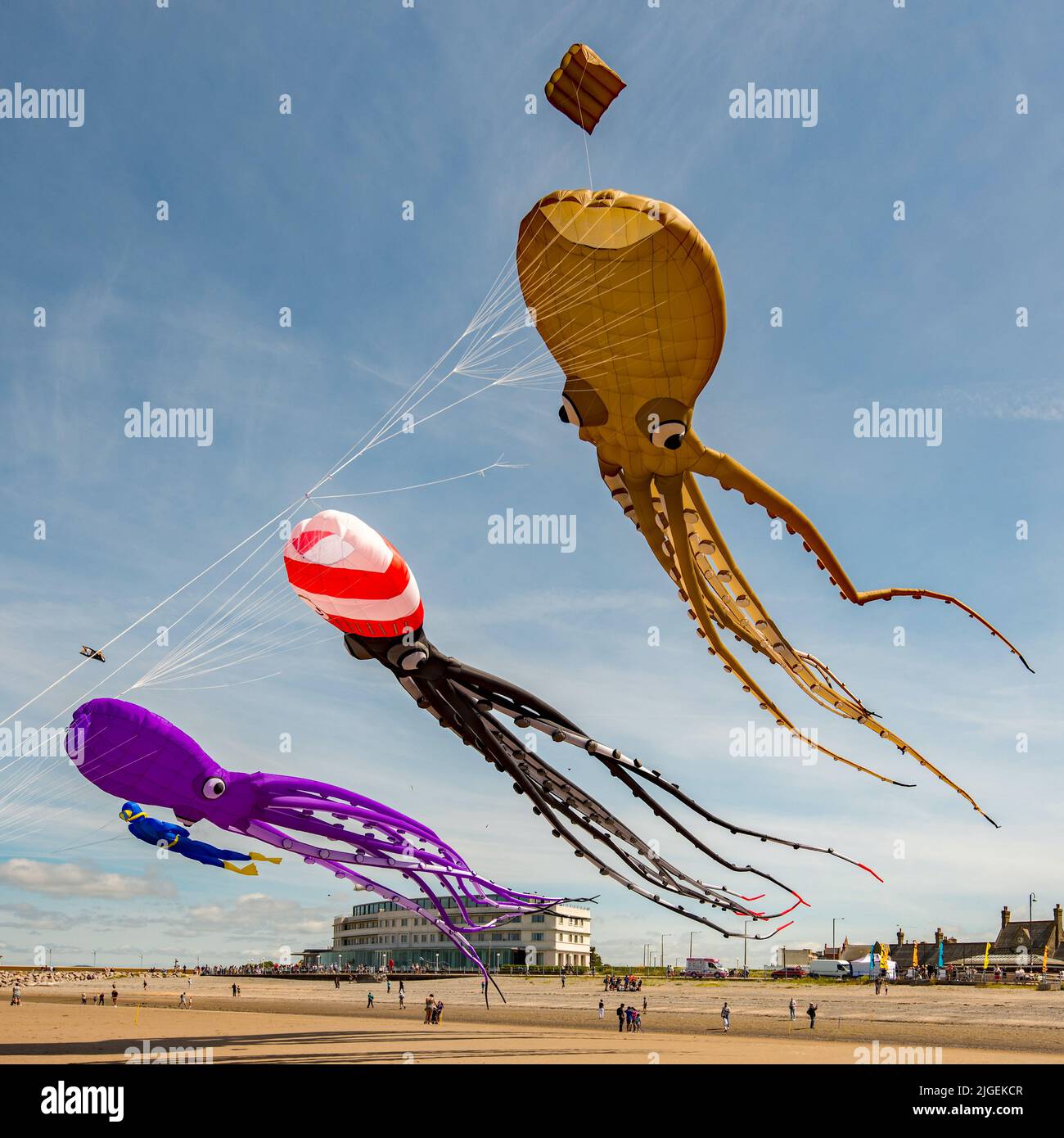 Professional kite flyers hi-res stock photography and images - Alamy