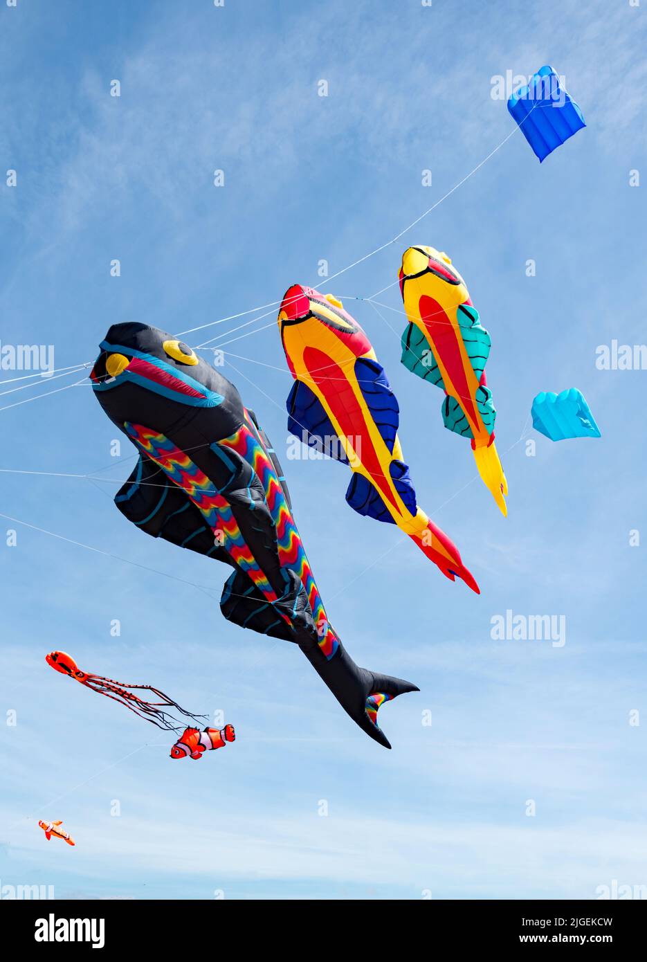 Professional kite flyers hi-res stock photography and images - Alamy