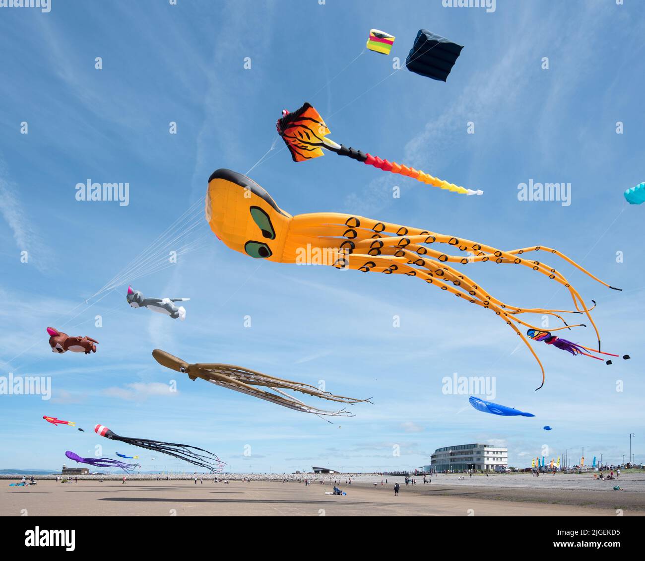 Northern kite group hi-res stock photography and images - Alamy