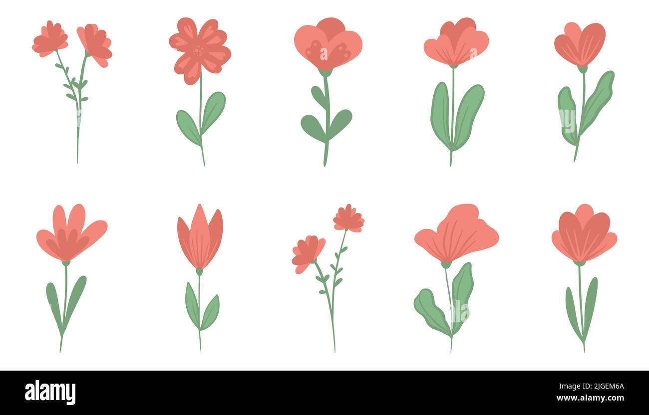 Set of simple Vector Flowers. Vector flat floral illustration Stock ...