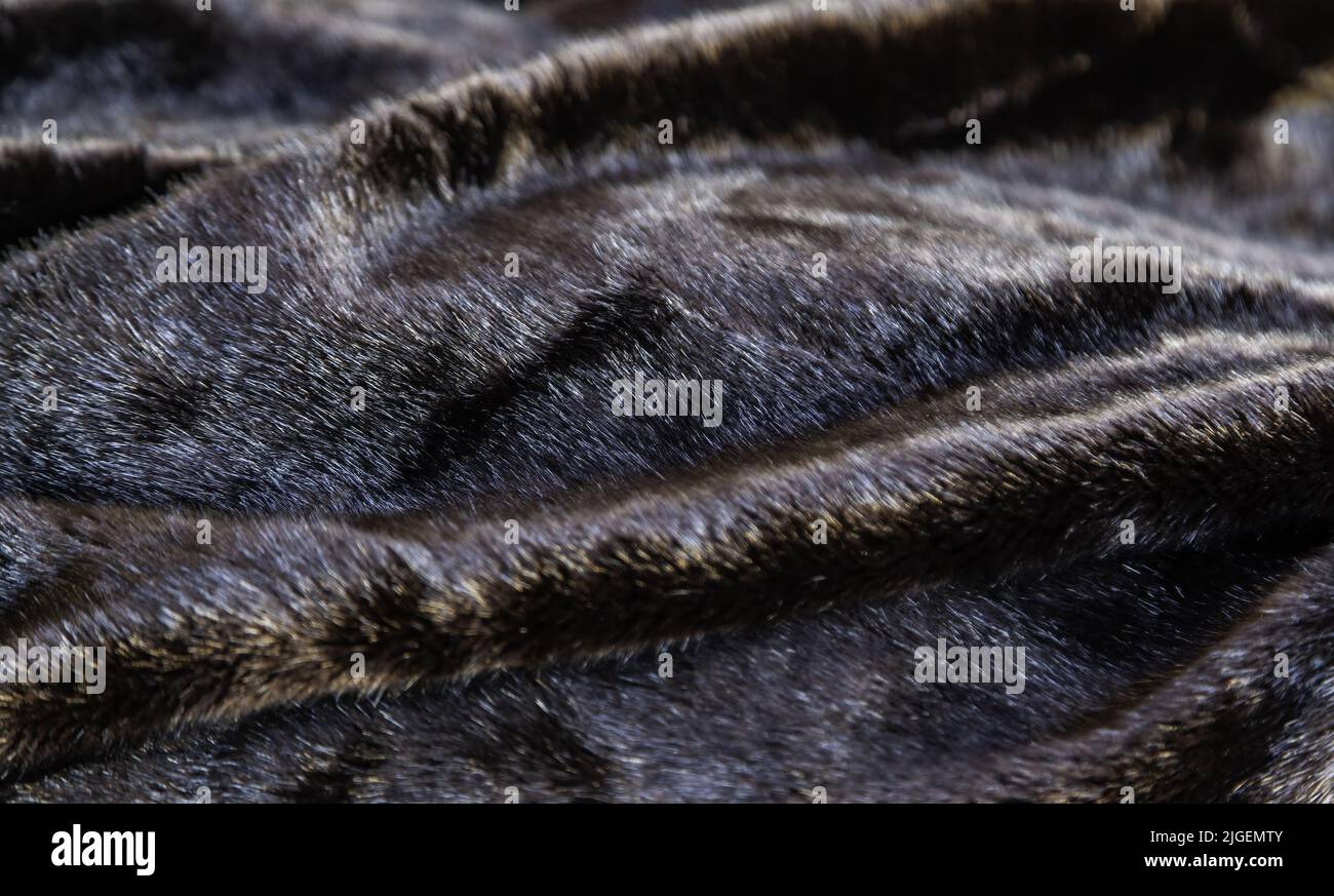 Detail of animal skin to make clothes for people Stock Photo - Alamy