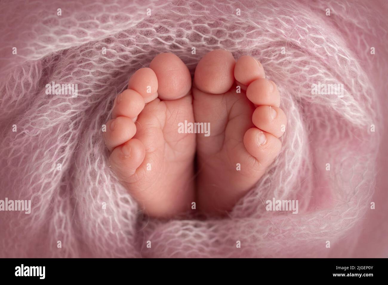 Soft feet of a new born in a pink wool blanket. Close-up of toes, heels ...