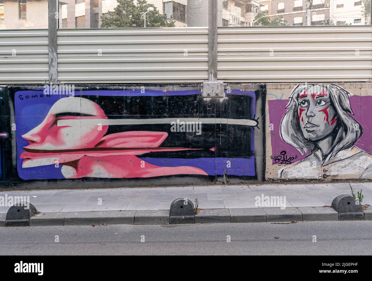 Mural by Somon depicting a woman in Istanbul. Street art, murals in ...