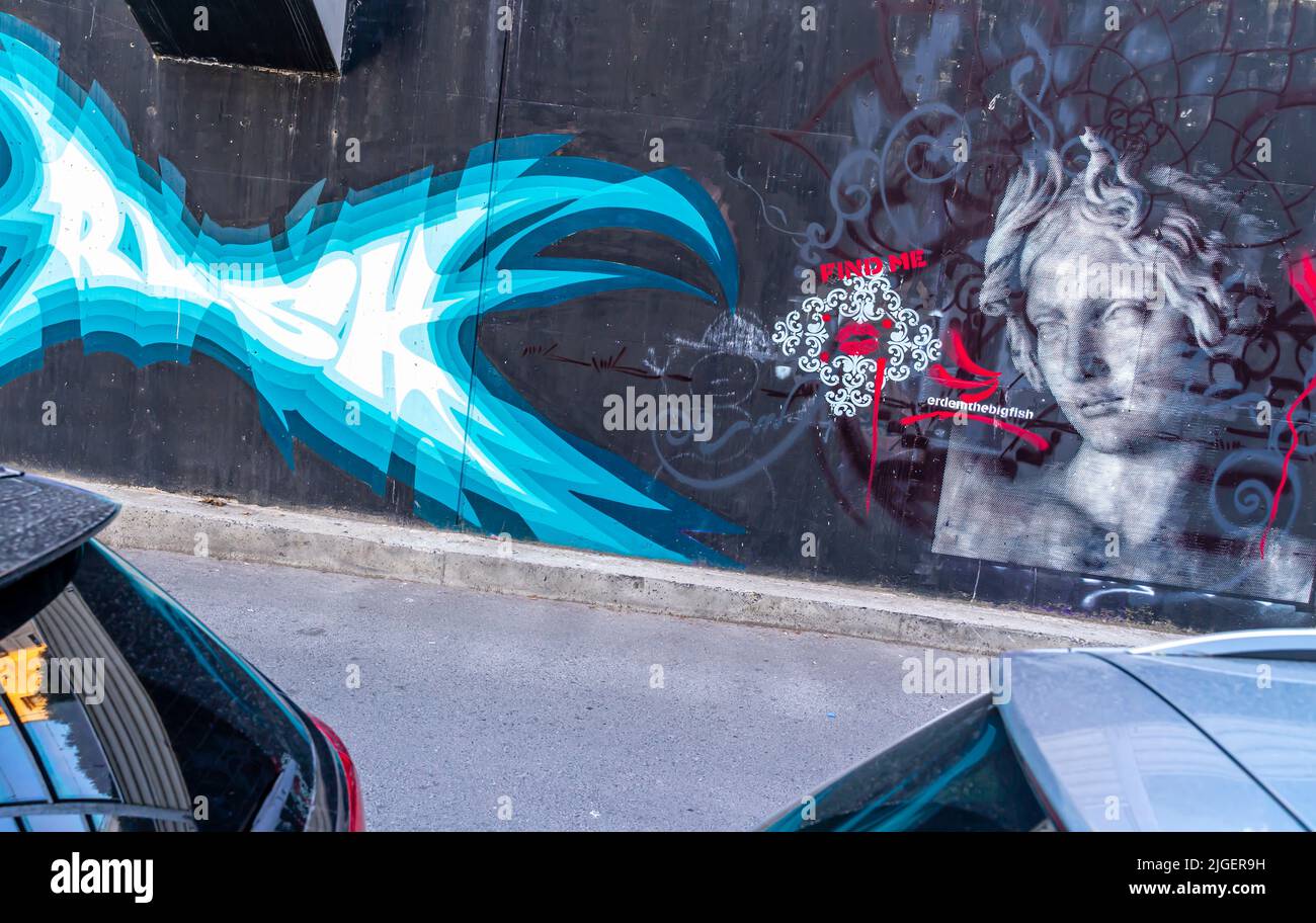 Murals in Istanbul. Erdemthebigfish project. Street art, mural in ...