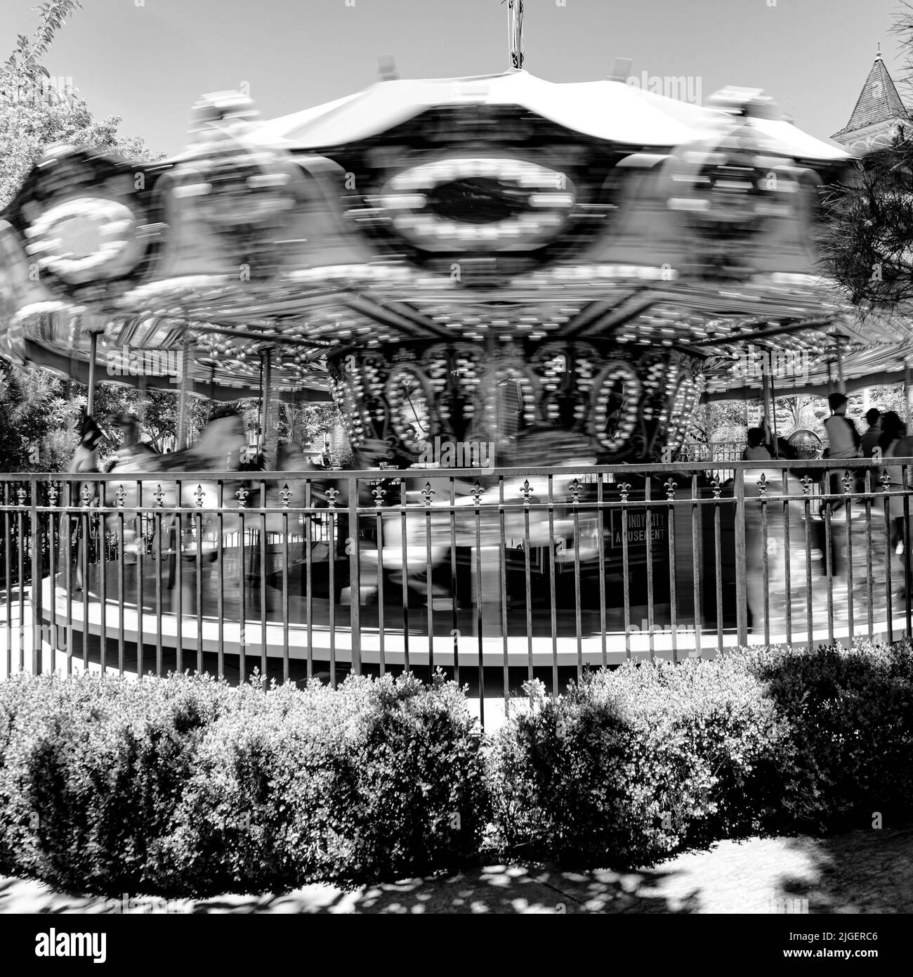 A black and white shot of a carousel in motion in park amusement in ...