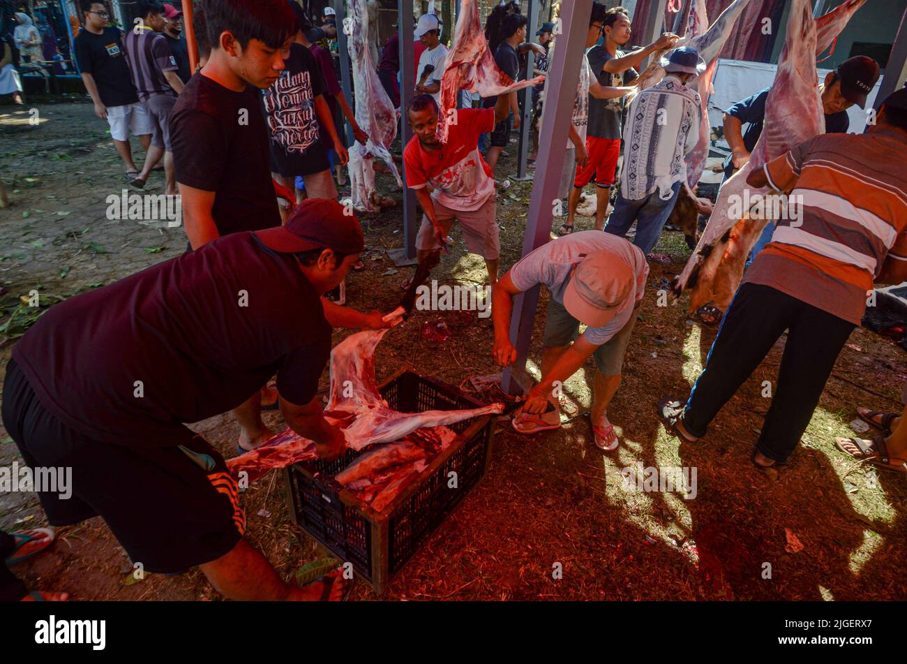 (7/10/2022) Muslims slaughter livestock in the form of cows and goats ...