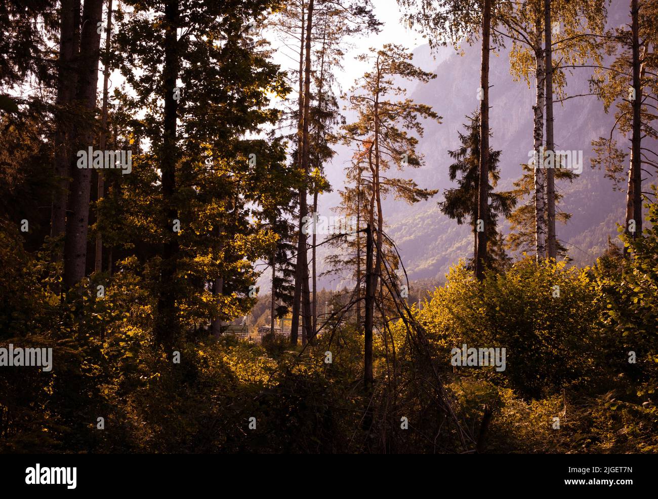 Wallpaper green hill with sun hi-res stock photography and images - Alamy