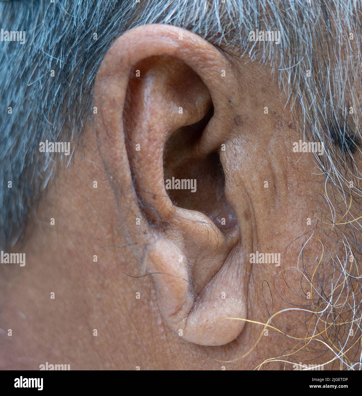 Close up young man pierced hi-res stock photography and images - Alamy