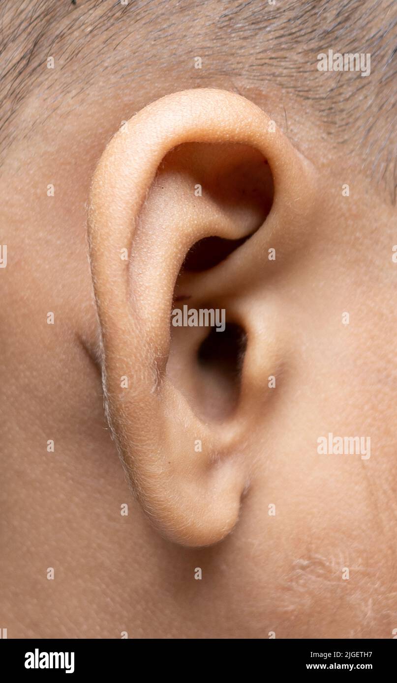 Ear child anatomy hi-res stock photography and images - Alamy
