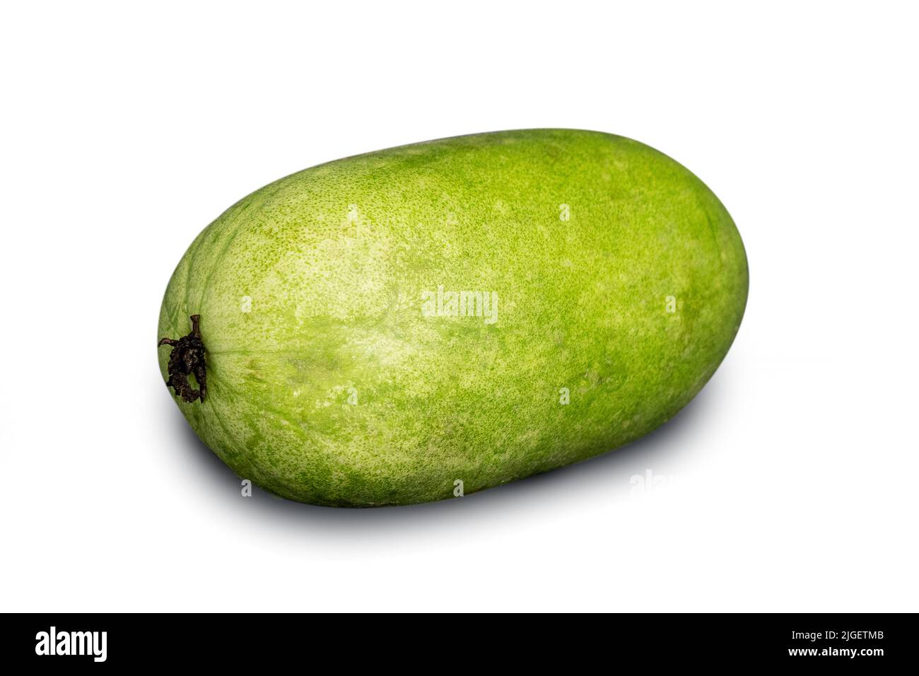 Winter Melon or White Gourd isolated on white background Stock Photo ...