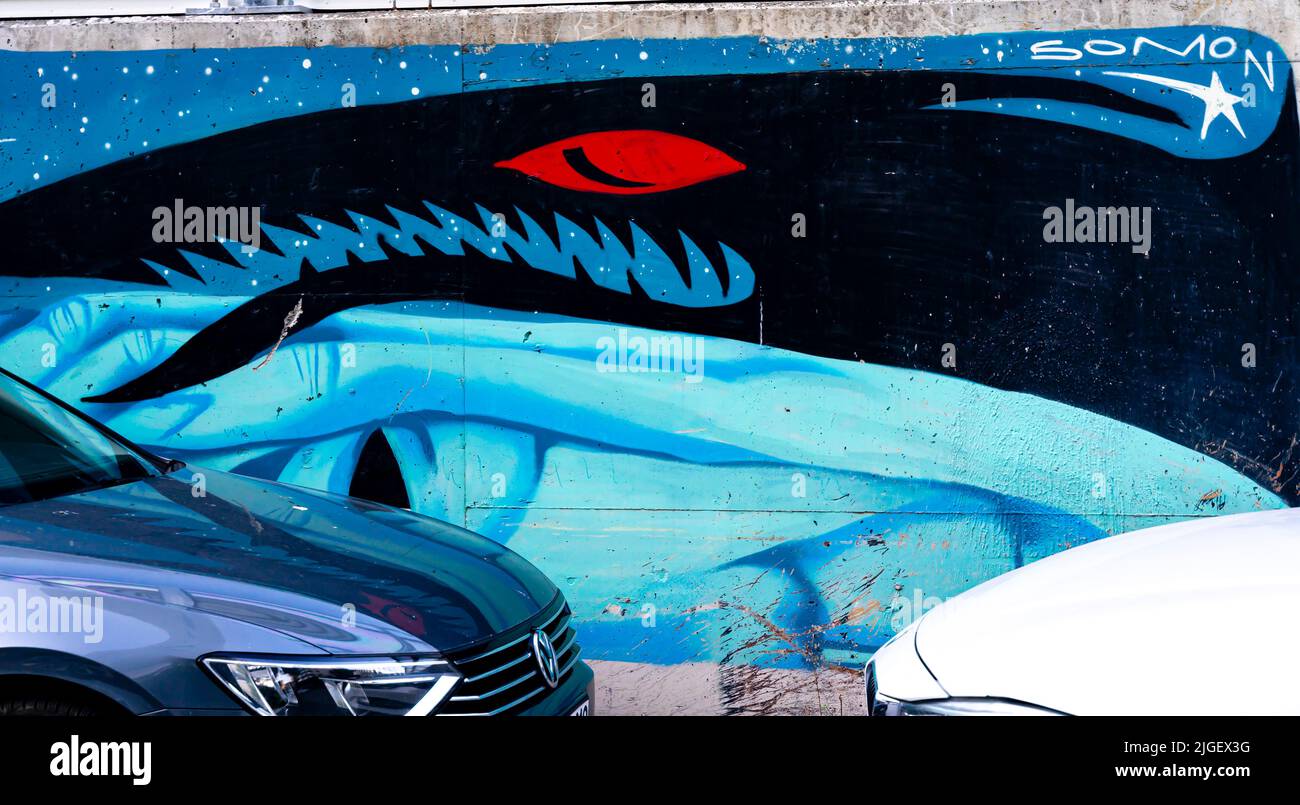 Mural by Somon depicting blue shark on the wall. Murals in Istanbul ...