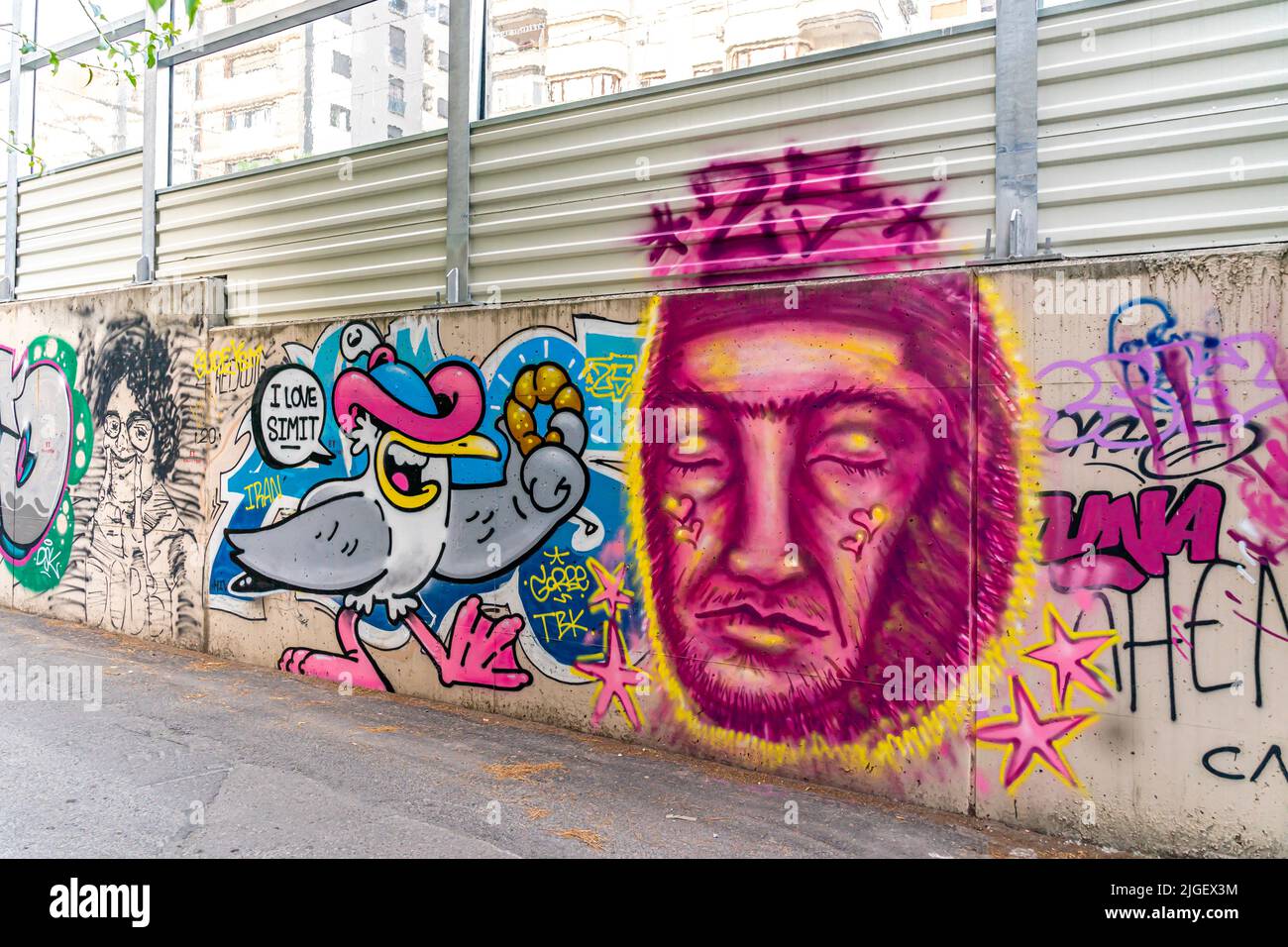 Murals in Istanbul. Street art, mural in Kadiköy district of Istanbul ...