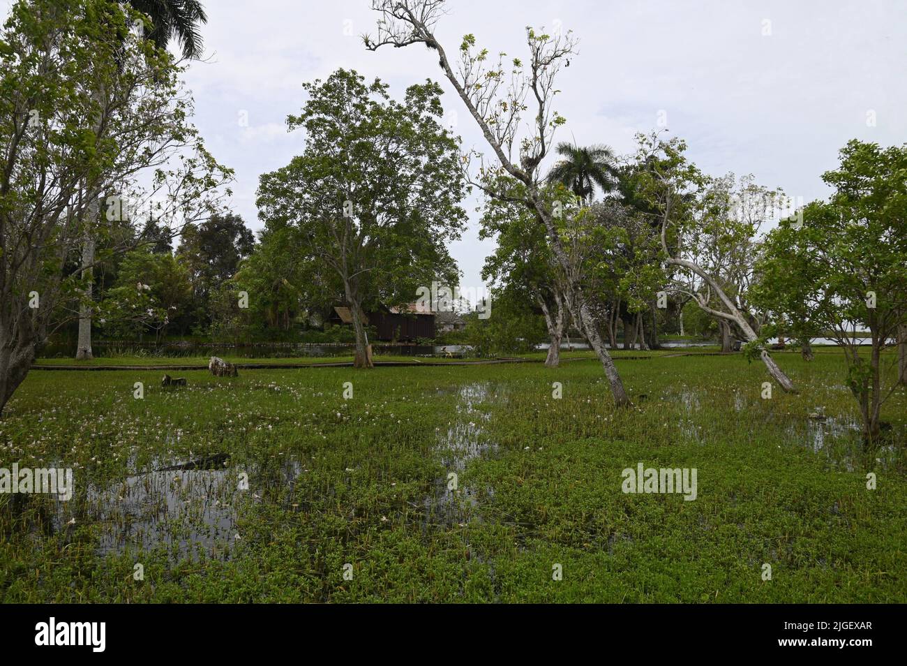 Tropical landscape with scenic view of the ancient Taino Village a ...
