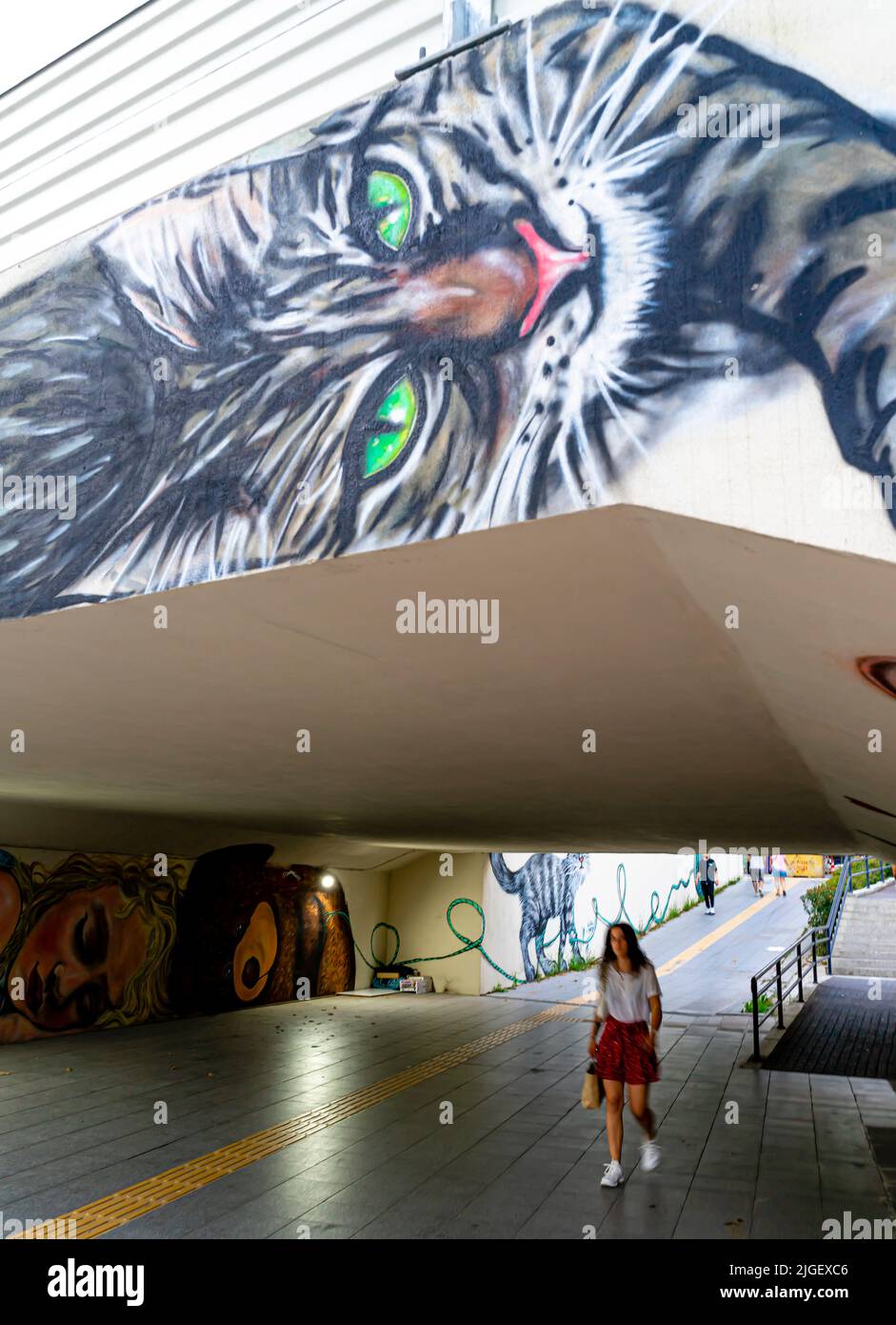 Mural depicting cats by Axel Mengu on walls under viaduct, bridge ...