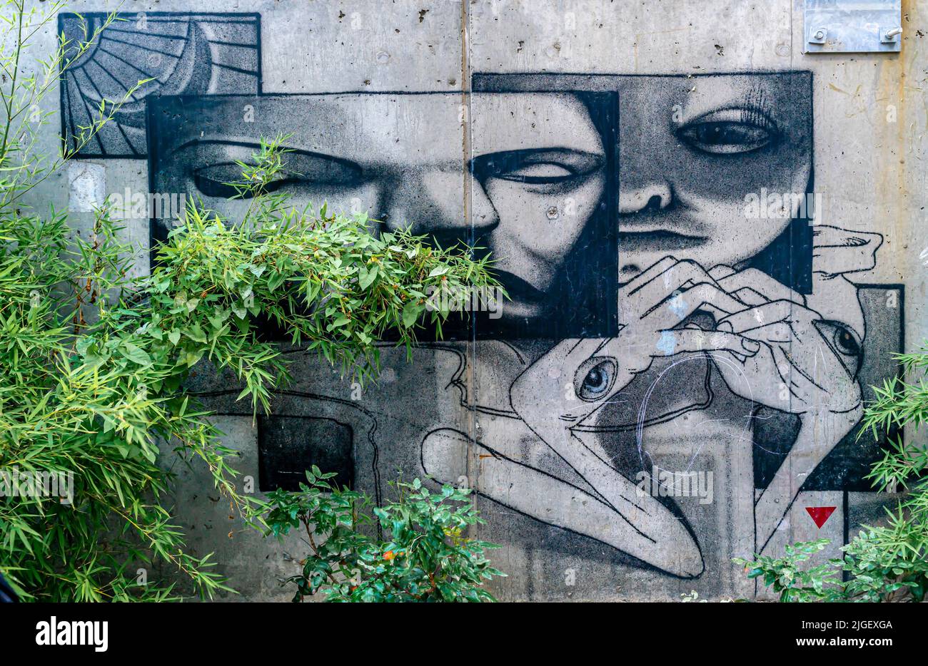 Murals in Istanbul. Street art, mural in Kadiköy district of Istanbul ...