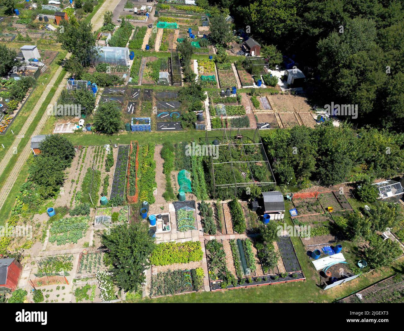 Pontypridd, Wales - July 2022: Aerial view of community allotments in a ...