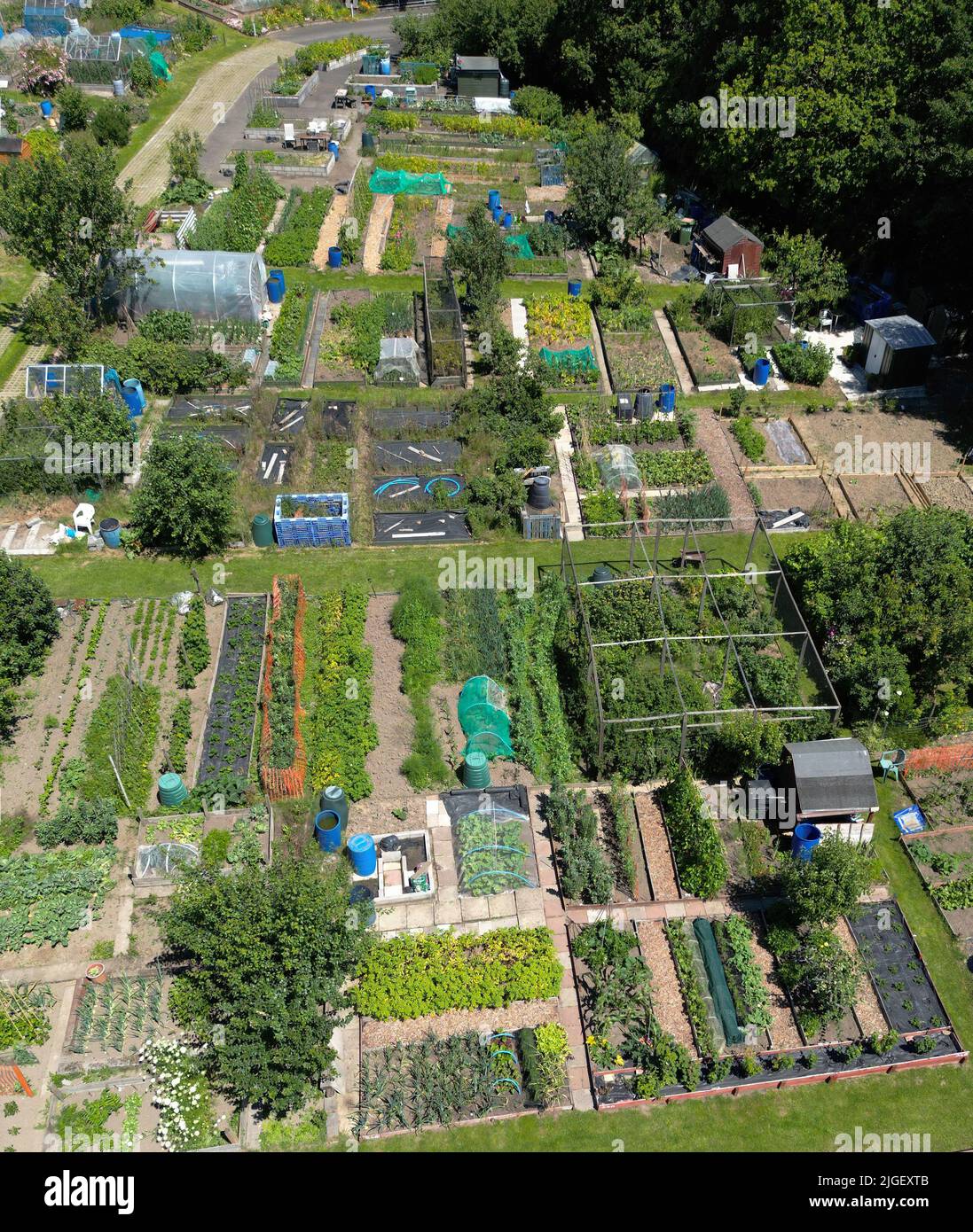 Pontypridd, Wales - July 2022: Aerial view of community allotments in a ...
