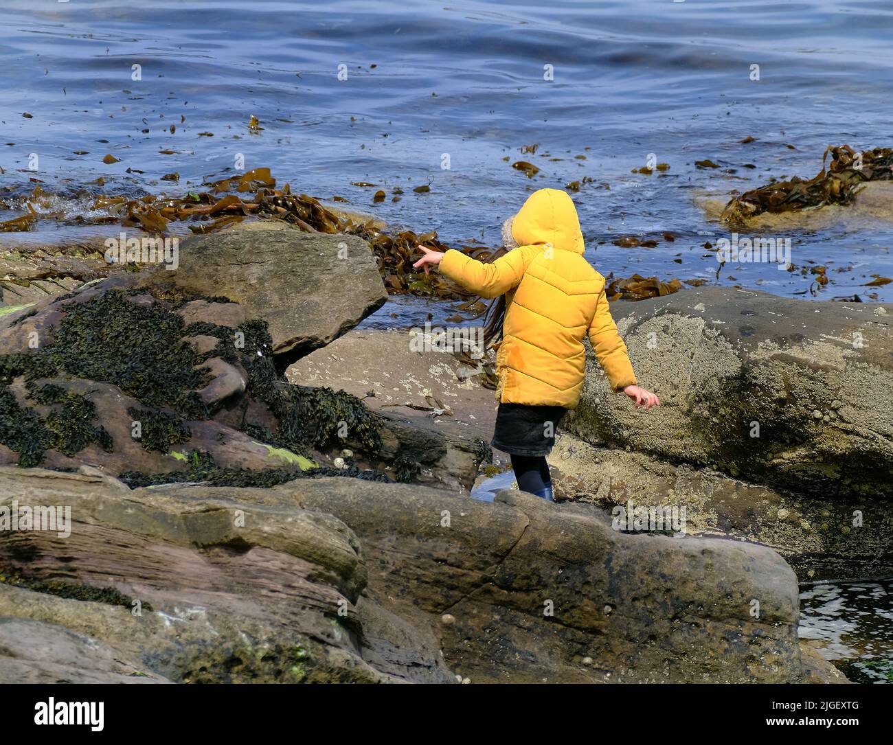 Danger on holiday on slippery rocks and the sea Stock Photo - Alamy