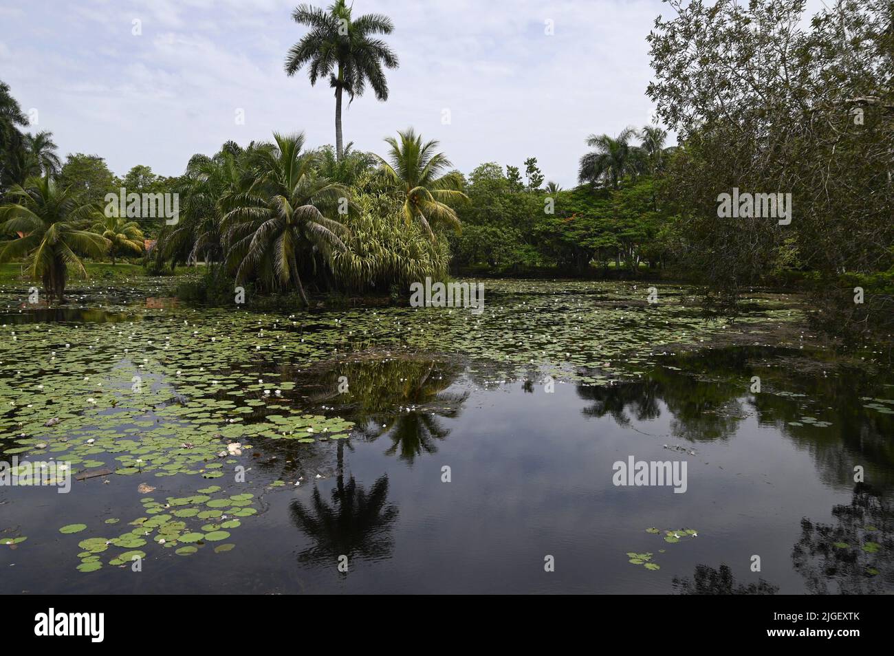 Tropical landscape with scenic view of the ancient Taino Village a ...