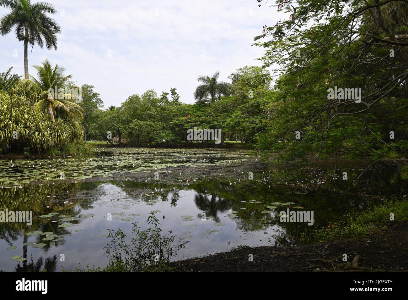 Tropical landscape with scenic view of the ancient Taino Village a ...