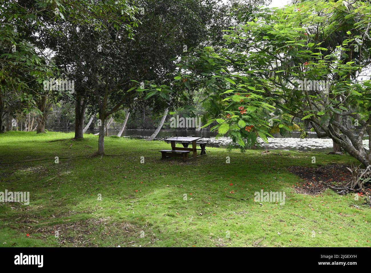 Taino natives hi-res stock photography and images - Alamy