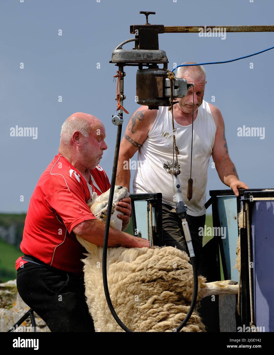 Shearing contractor hi-res stock photography and images - Alamy