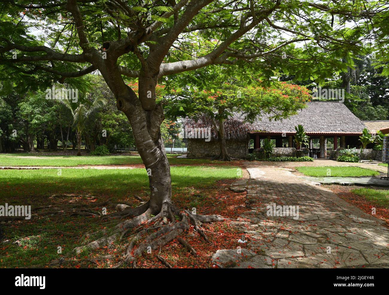Tropical landscape with scenic view of the ancient Taino Village a ...