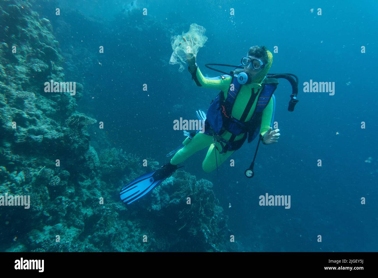 Sea pollution effects hi-res stock photography and images - Alamy