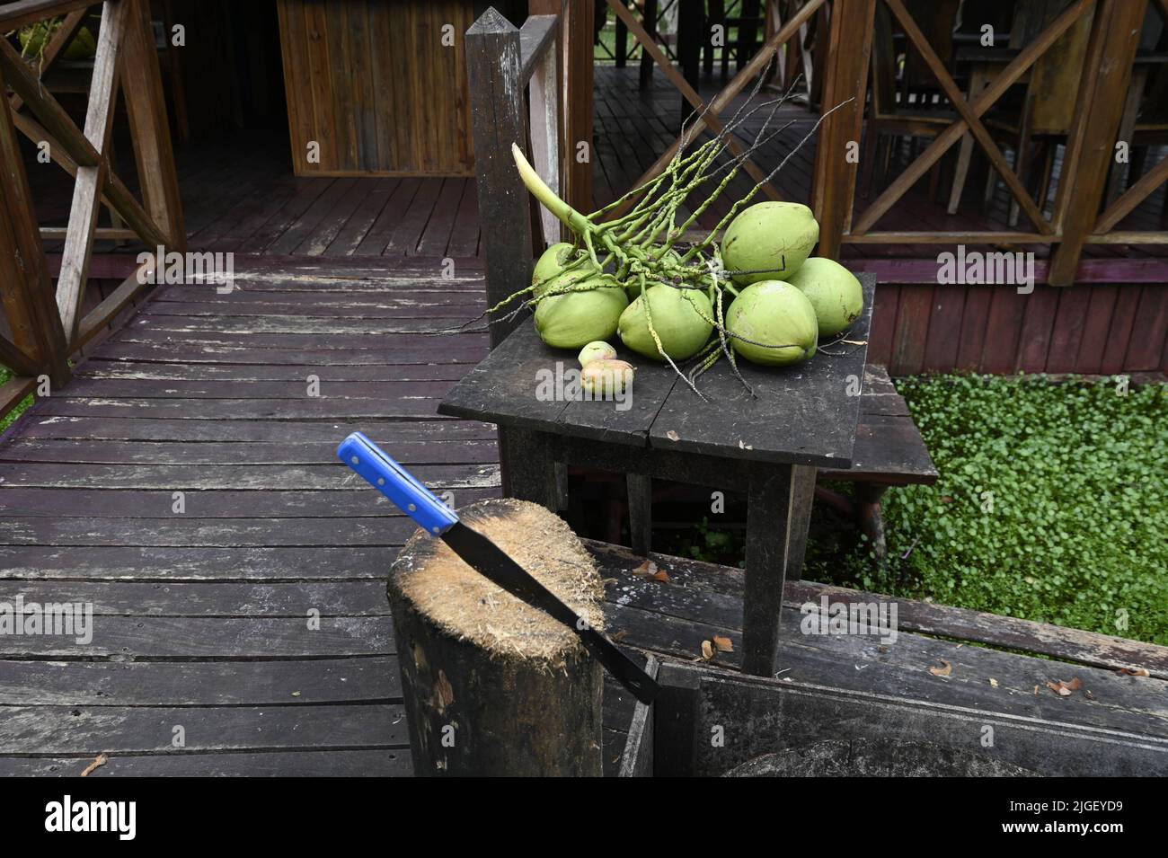 Taino natives hi-res stock photography and images - Alamy