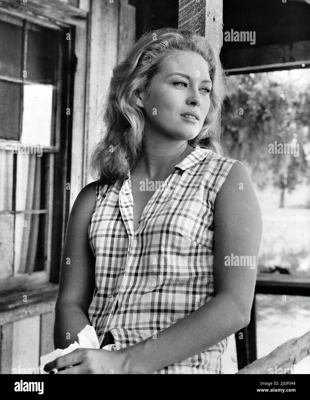 Hurry sundown faye dunaway hi-res stock photography and images - Alamy
