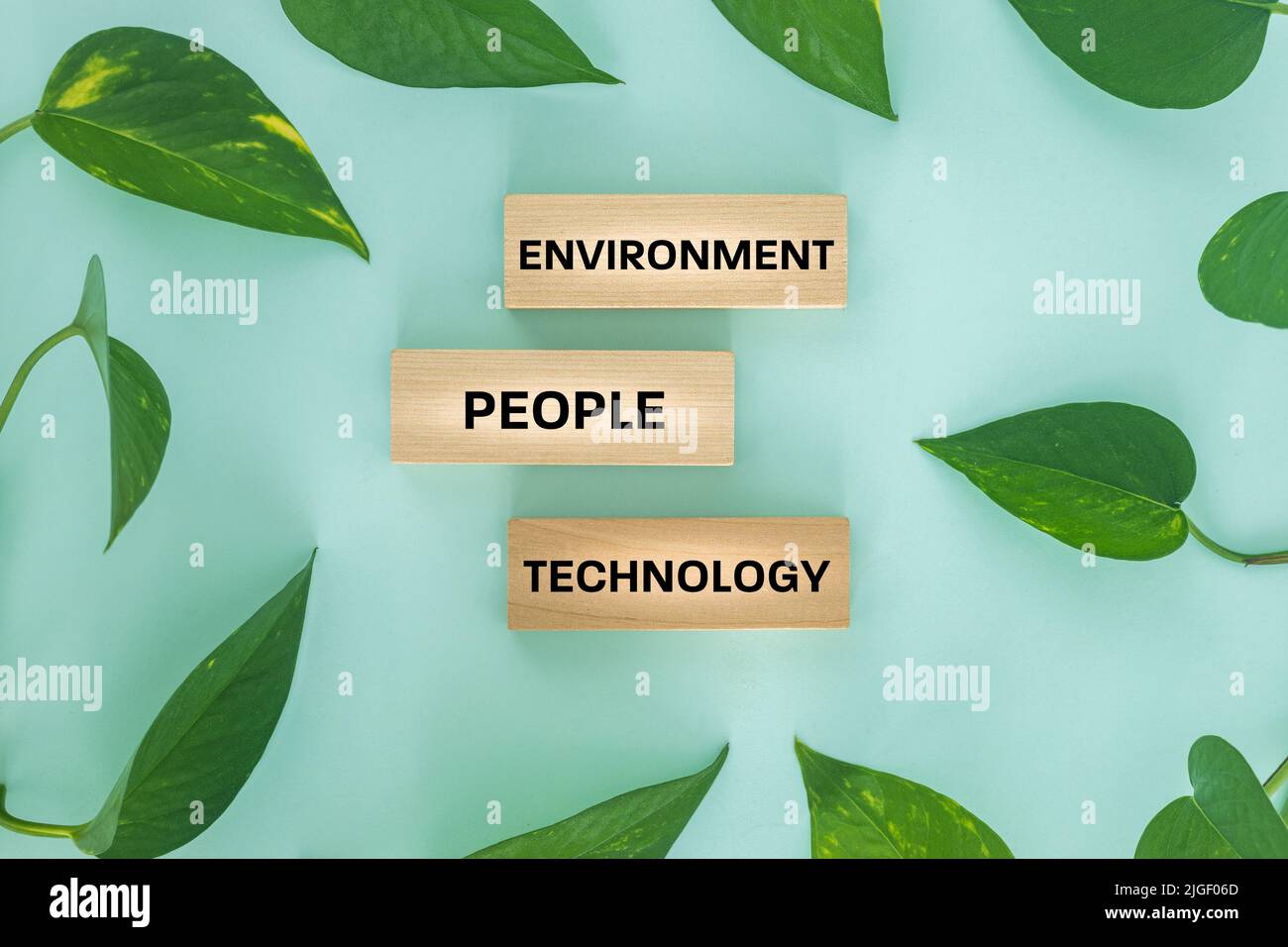 Natural leaves and inscriptions on wooden blocks Environment, People ...