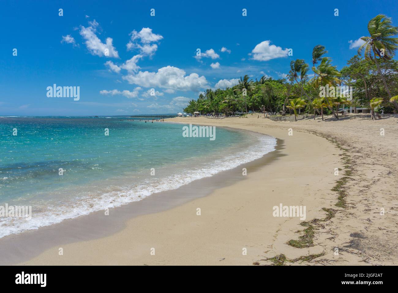 Playa Dorada in Puerto Plata - Dominican Republic, Beautiful Tropical ...
