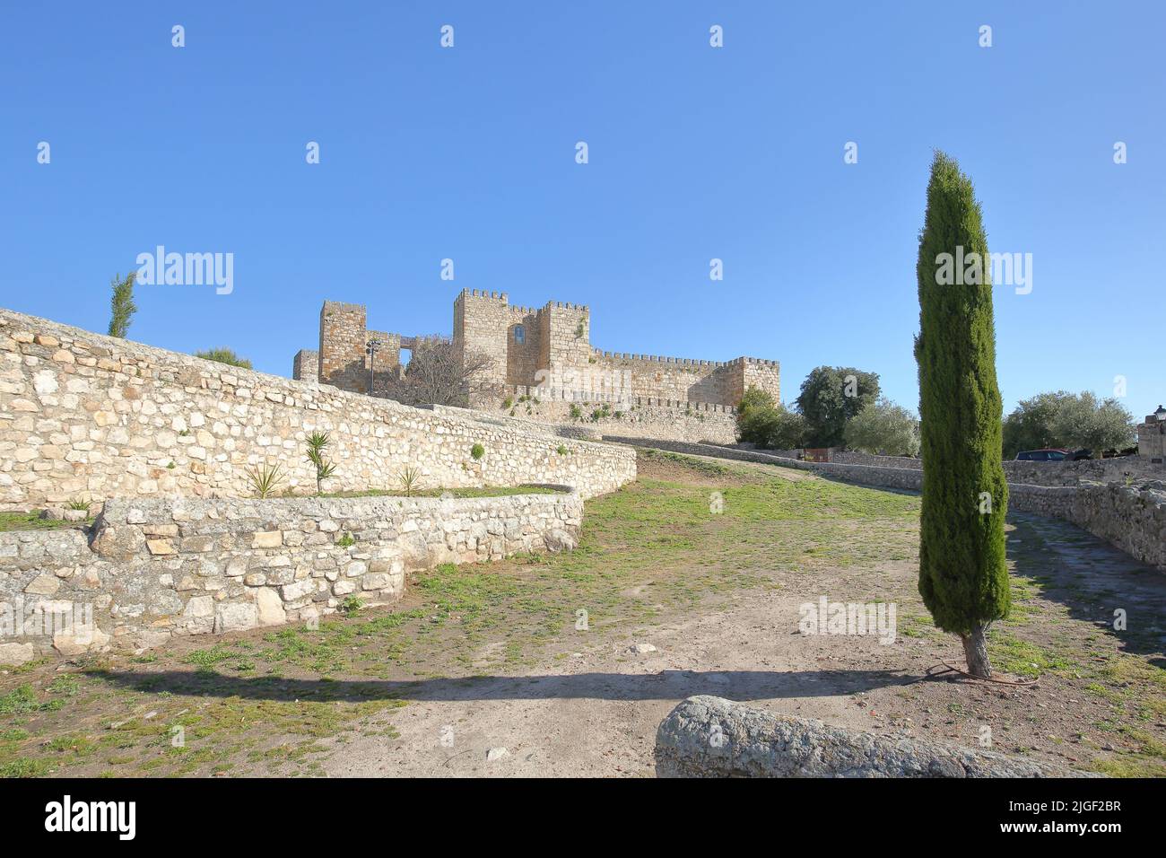 Cypress tree in the gardens of the Castillo in Trujillo, Extremadura ...