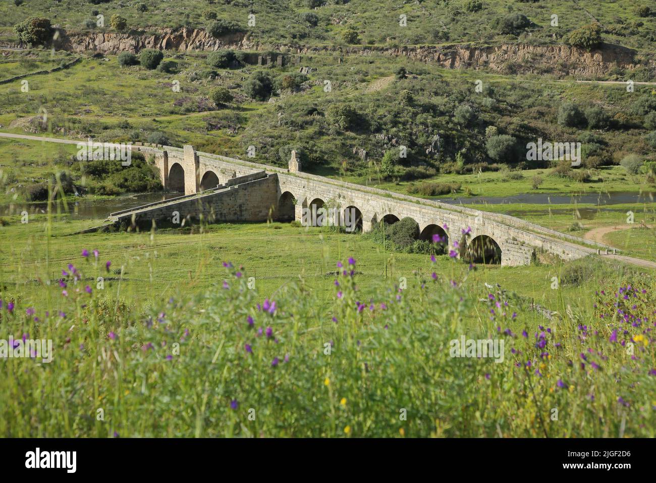 Historical bridge over the Rio Almonte, Extremadura, Spain Stock Photo ...