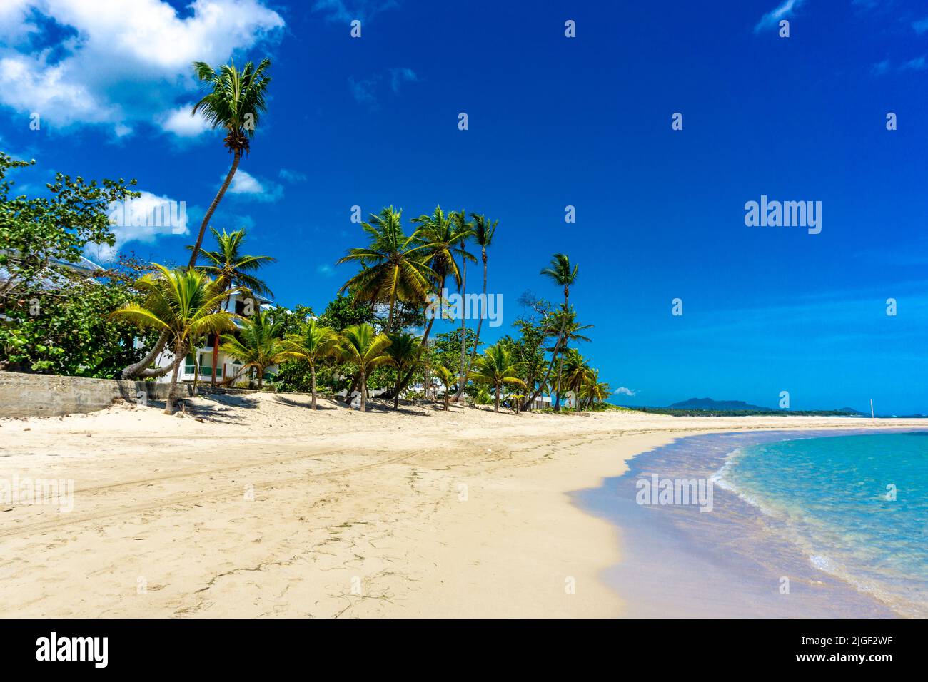 Playa Dorada in Puerto Plata - Dominican Republic, Beautiful Tropical ...