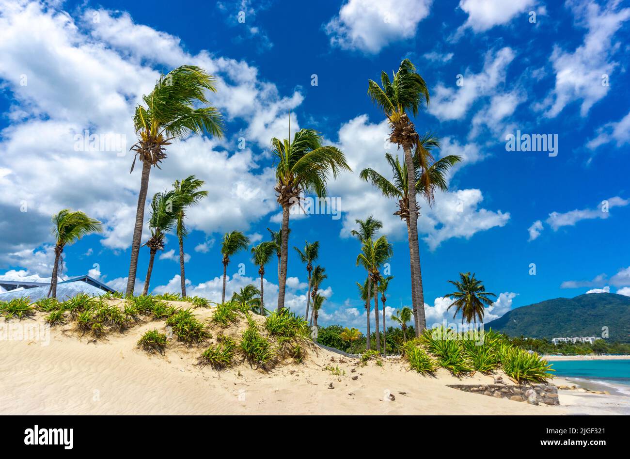Playa Dorada in Puerto Plata - Dominican Republic, Beautiful Tropical ...