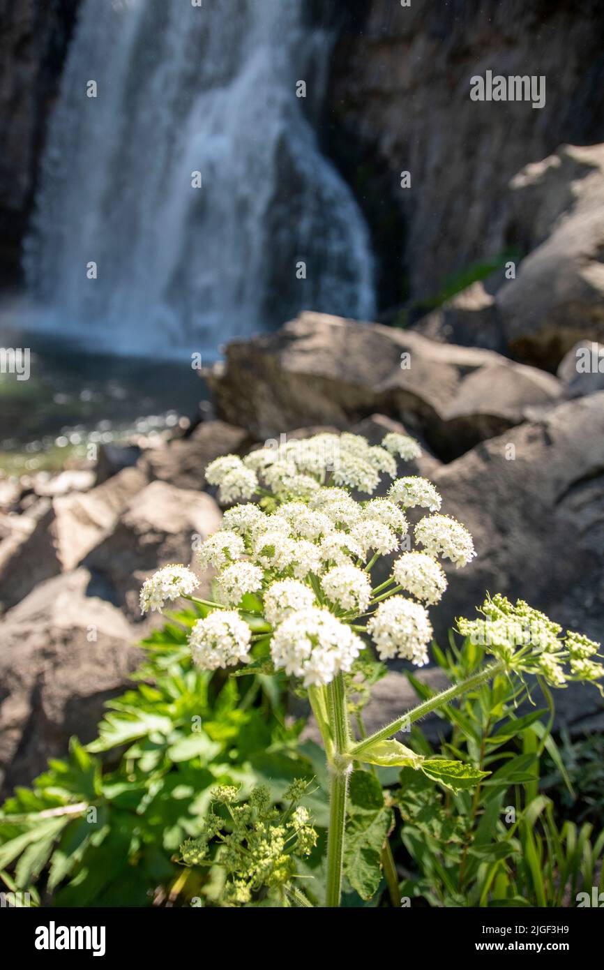 Rainbow Falls is a large and popular waterfall in Devil's Postpile ...