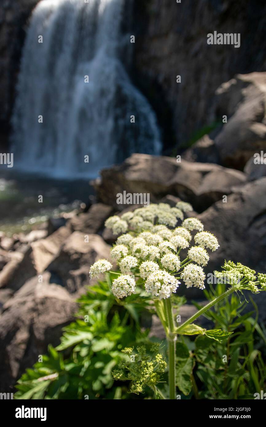 Rainbow Falls is a large and popular waterfall in Devil's Postpile ...