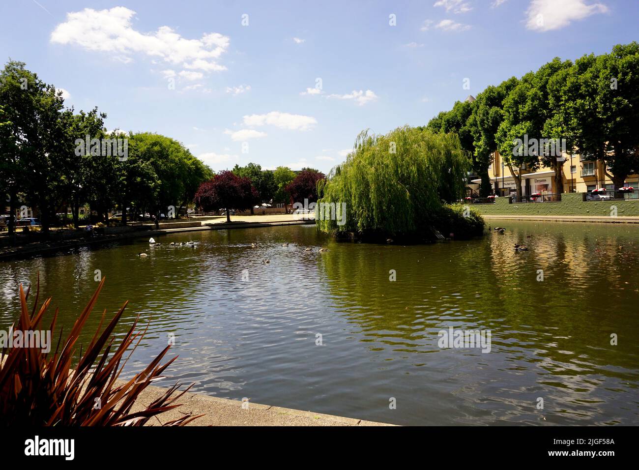 Feltham pond hi-res stock photography and images - Alamy