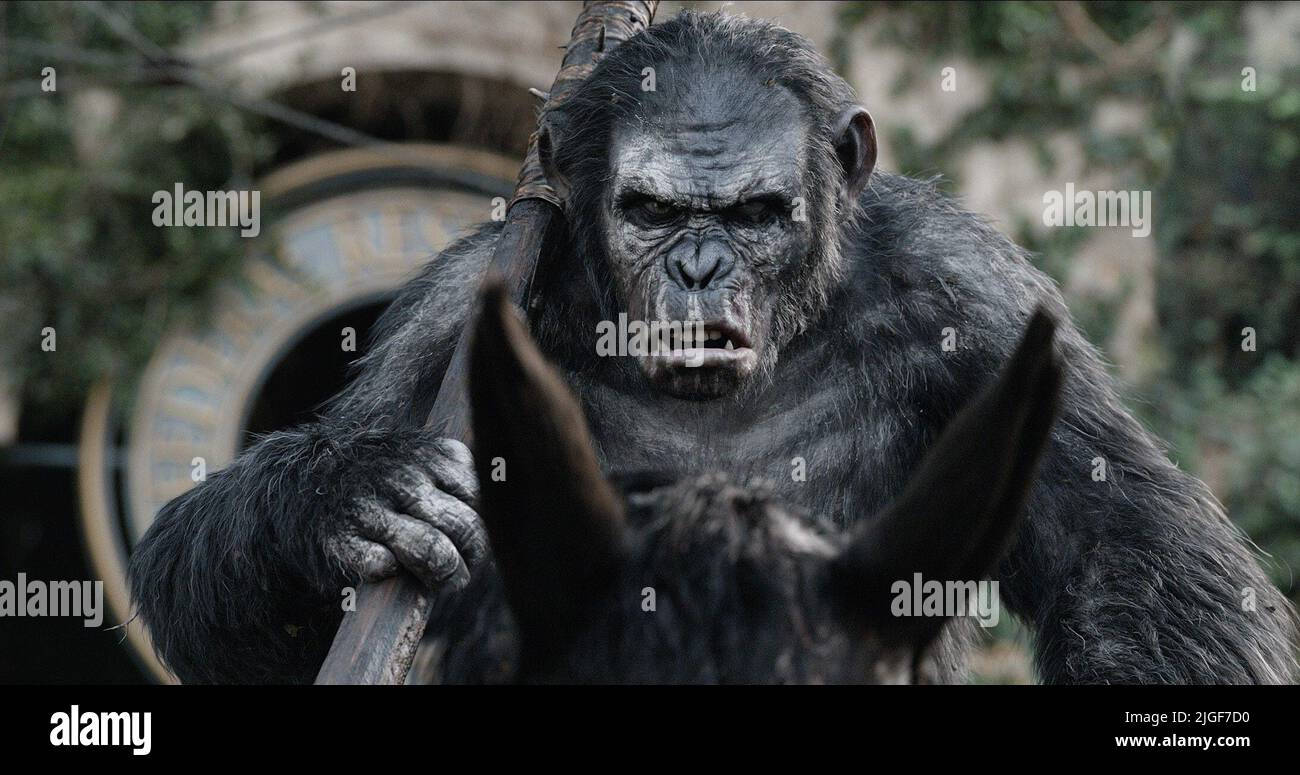 Planet of the apes hi-res stock photography and images - Alamy