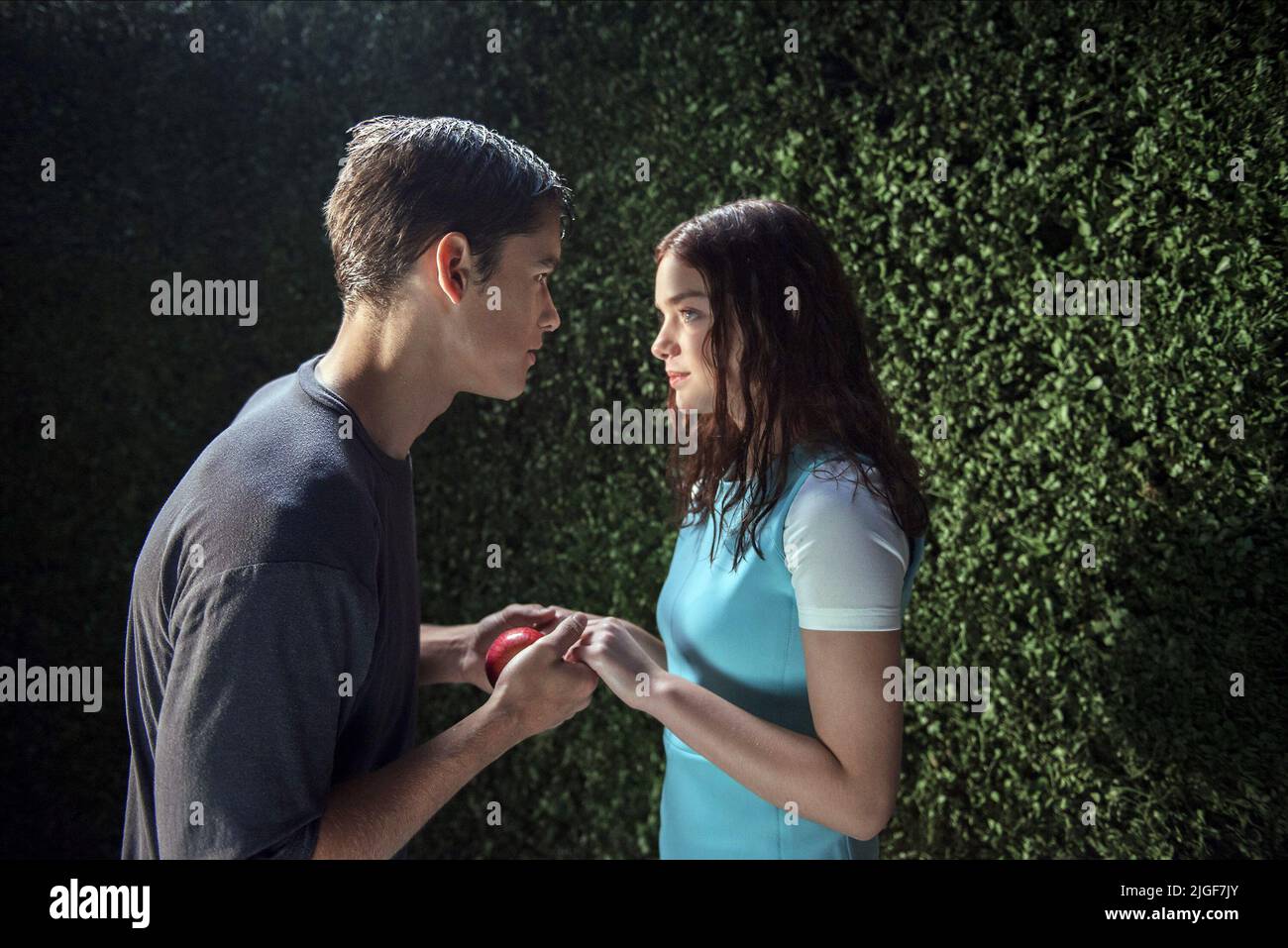 The Giver Movie Fiona And Jonas
