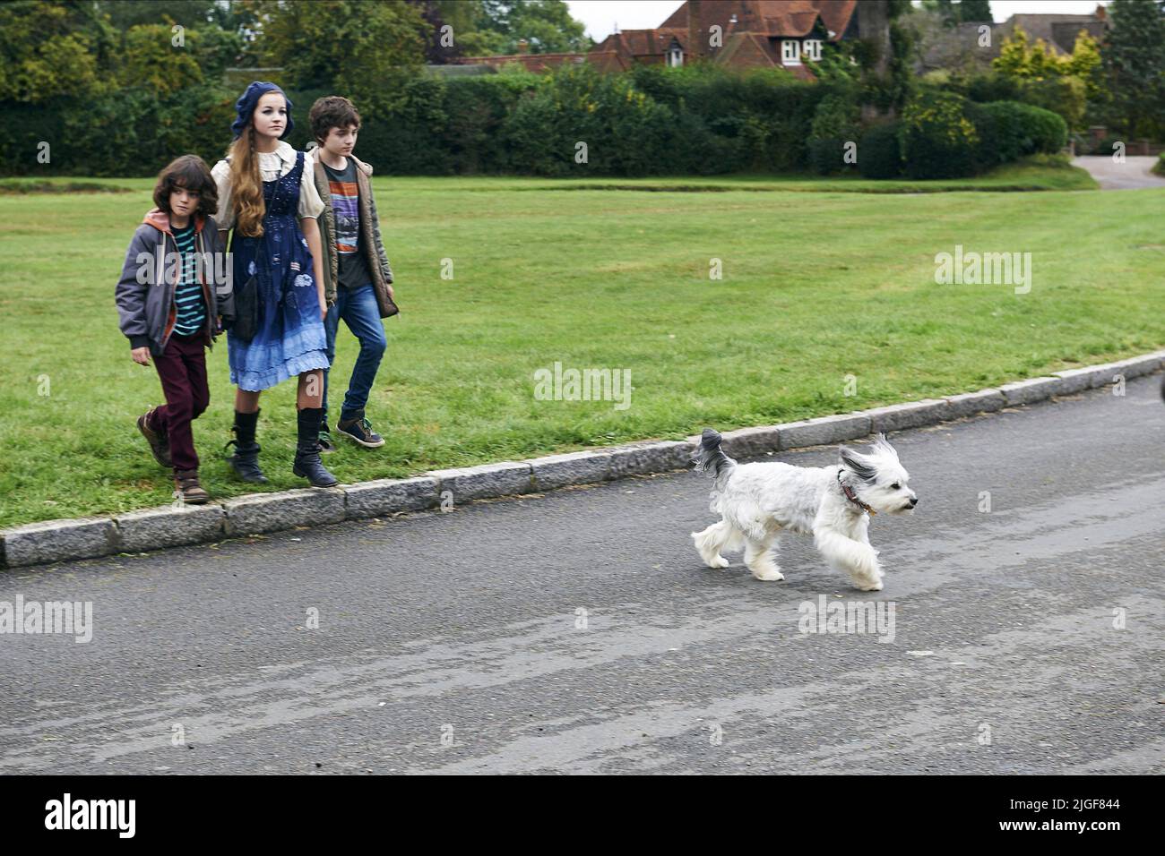 MALACHY KNIGHTS, IZZY MEIKLE-SMALL, SPIKE WHITE, PUDSEY, PUDSEY THE DOG ...